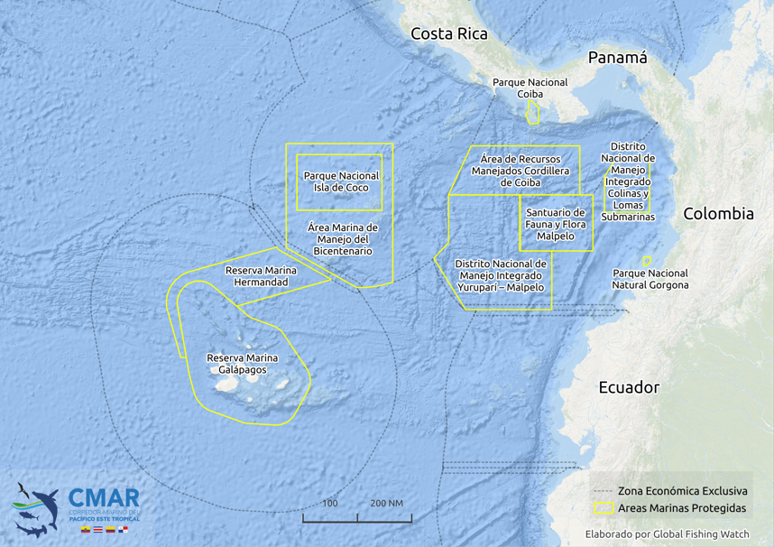 ¿Qué es el CMAR? | Corredor Marino del Pacífico Este Tropical